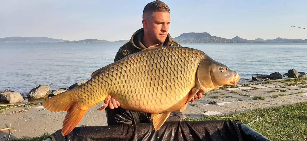 Napsugár Camping & Panzió in Fonyód - accommodation and camping on the ...